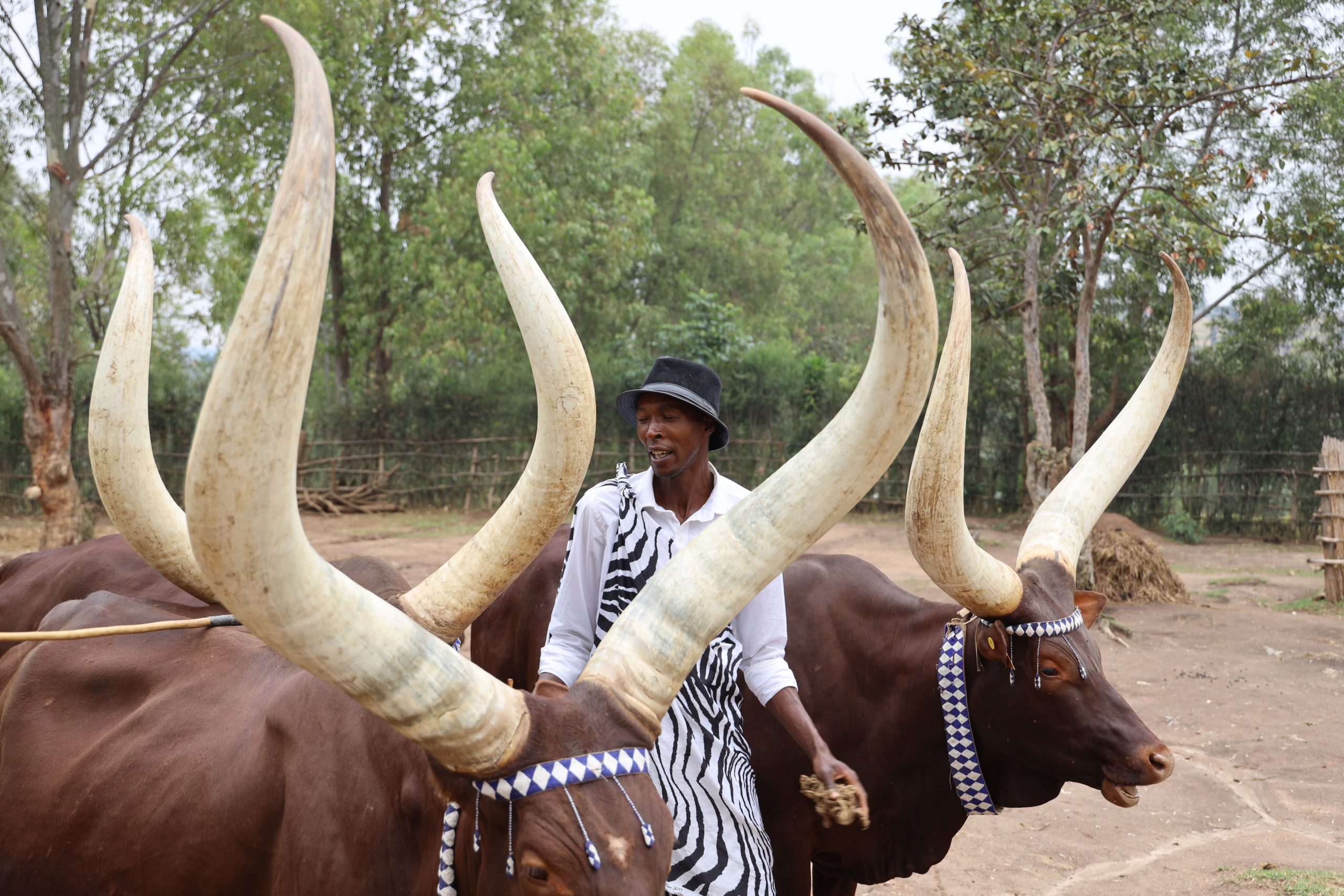 What travelers need to know about Rwanda's Culture and Heritage ...