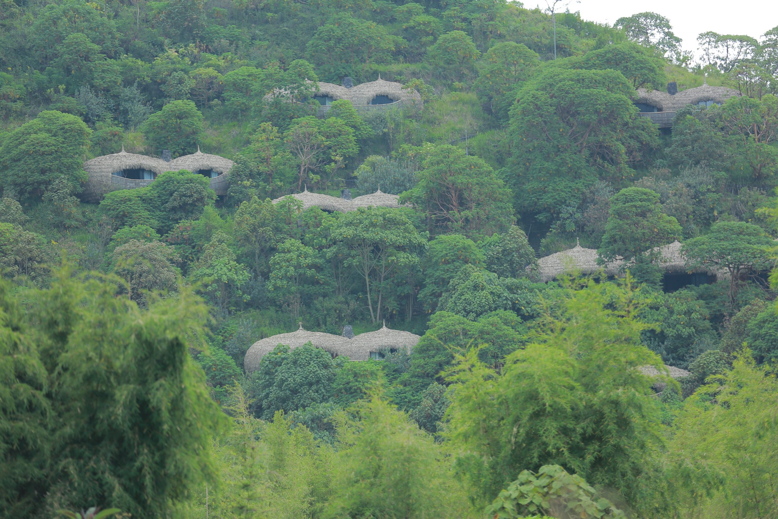 Breathtaking Bisate Lodge - Heritage Rwanda Safaris